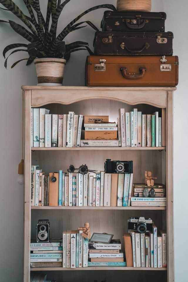 Cool Things to Collect and How to Display them in Your Home