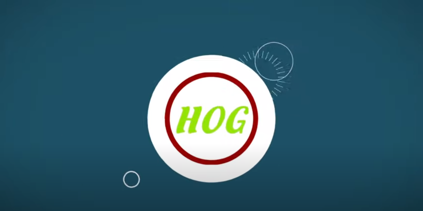 HOG - How to shop online