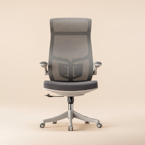 Ergonomic Executive Mesh Office Chair. Now @HOG Online.